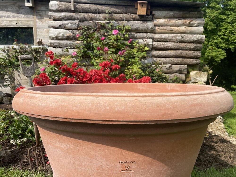 Extra-Large Terracotta Pots: The Ultimate Garden Centrepiece | Mud ...
